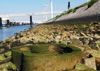 Concrete tide pools protect California coast | News | Port Strategy