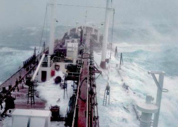 TELP TARGETS HOTSPOTS | News | Port Strategy