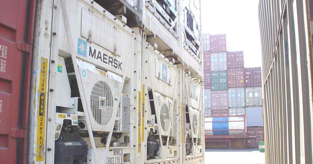 Reefer article | News | Port Strategy