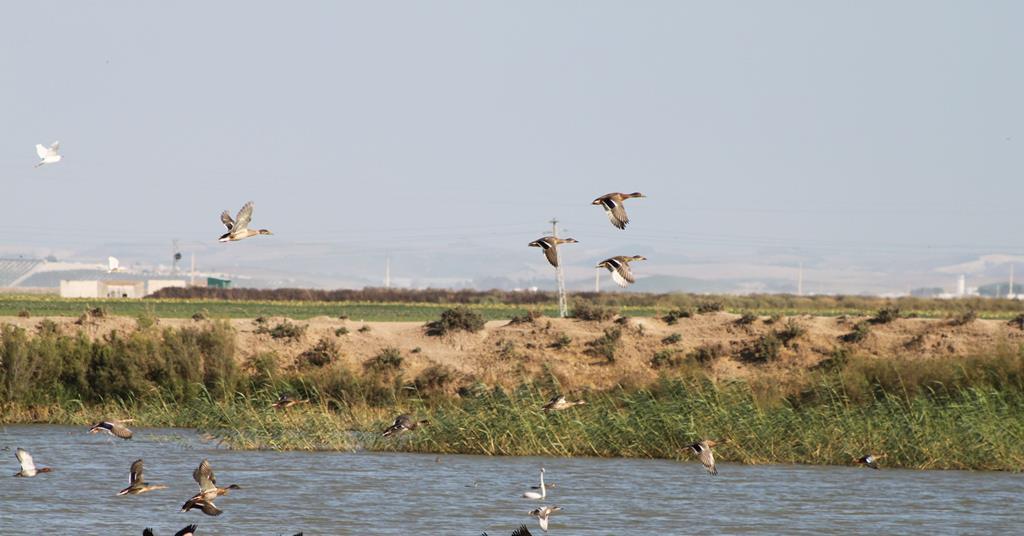 Nature certification first | News | Port Strategy