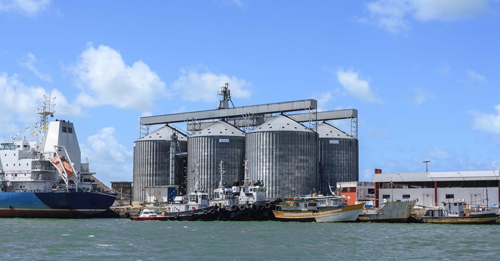 Going with the grain a win for ports | News | Port Strategy