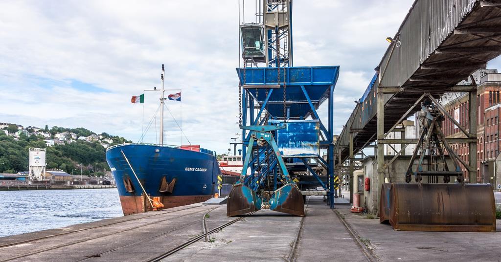 Ports of Cork and Dublin resume operations | News | Port Strategy