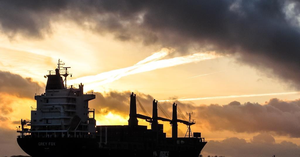 Ocean shippers face a ‘brutal’ 2024 | News | Port Strategy