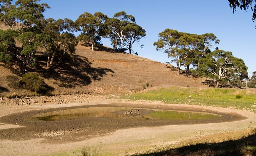 Shrinking pool of port talent | News | Port Strategy