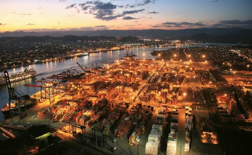 DEAD AS A DODO IN BRAZIL? | News | Port Strategy