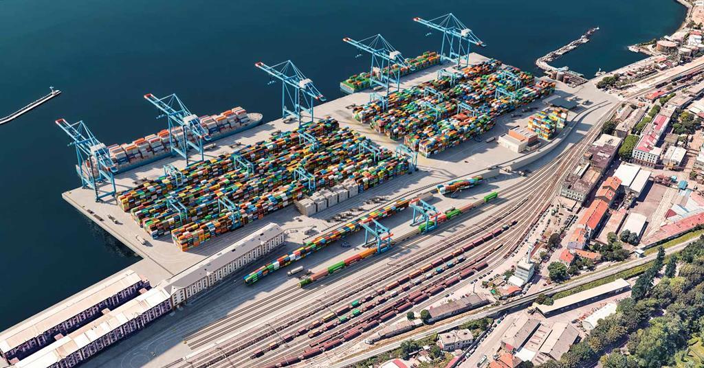 ZEPA reports back on port electrification boost | News | Port Strategy
