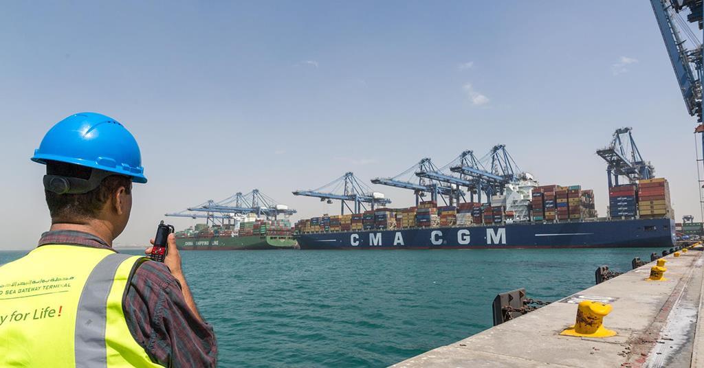 RSGT spreads its international wings | News | Port Strategy