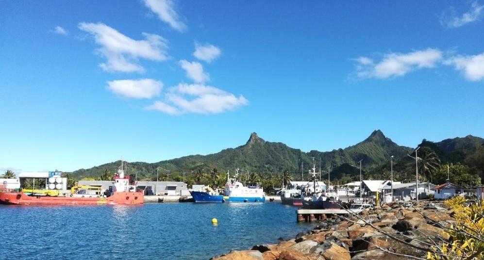 Carbon neutral in the Cook Islands | News | Port Strategy