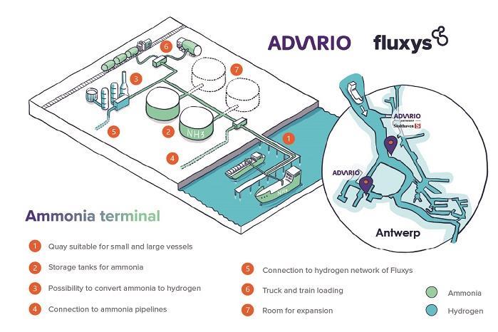 Green ammonia study | News | Port Strategy