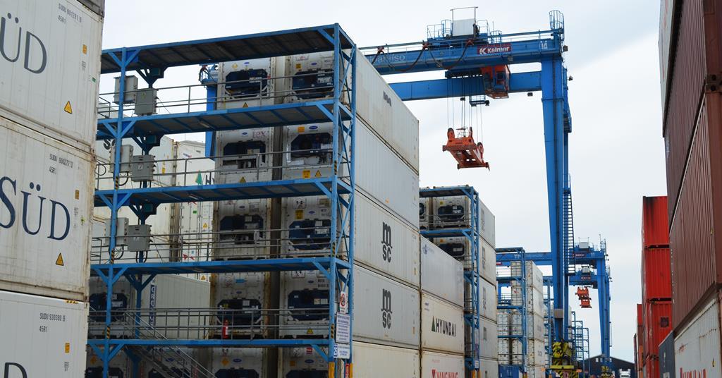 Cold chain growth brings terminal challenges | News | Port Strategy